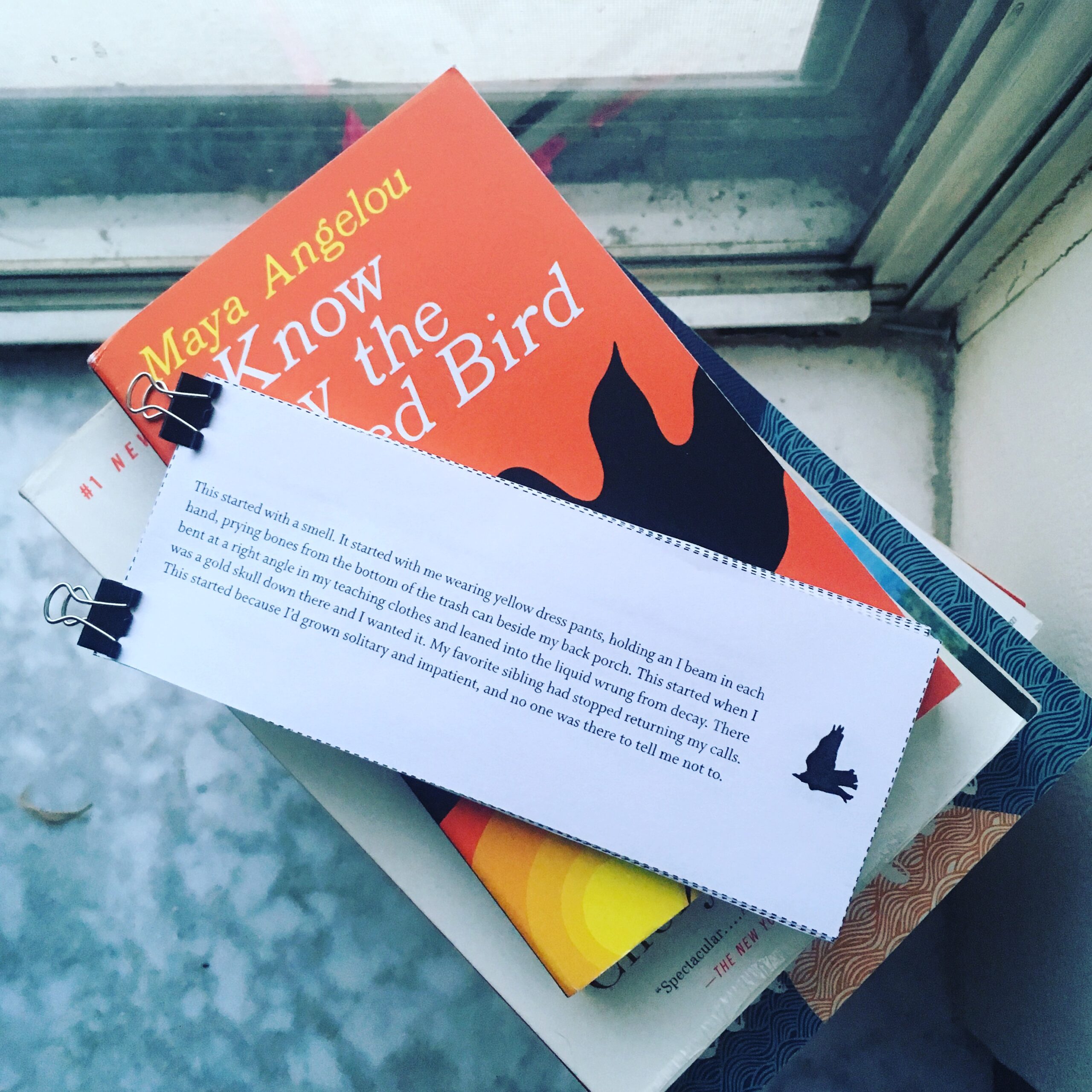 Why We Like It: "The Crow in Effigy: A Flip-Book" by Sarah Minor, and ...